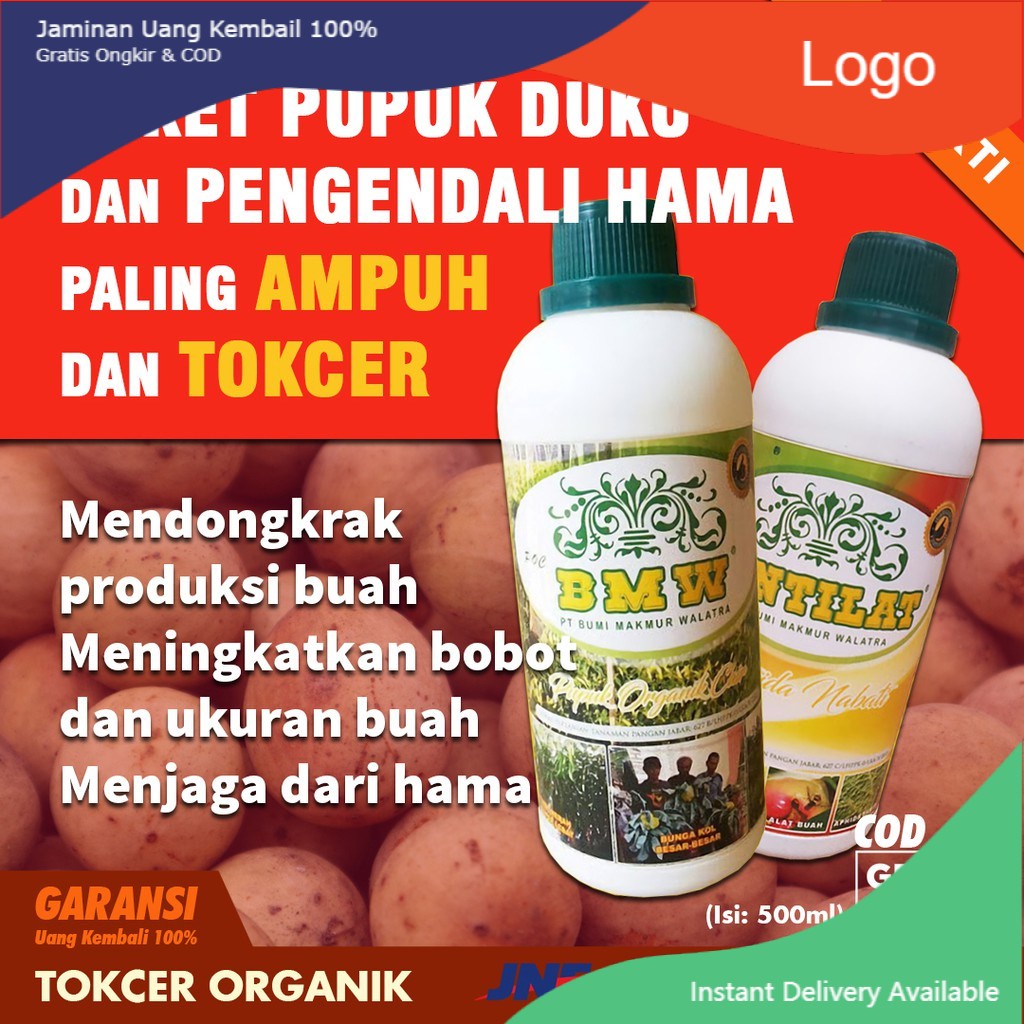 Jual Promo Paket Pupuk Organik Cair Tanaman Duku POC BMW & Pestisida ...