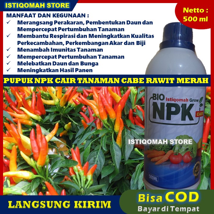 Jual ISTIQOMAH GROW 500 ML Pupuk Cabe Cabai Rawit Merah Yang Bagus, Pupuk Cabe Rawit Terbaik ...