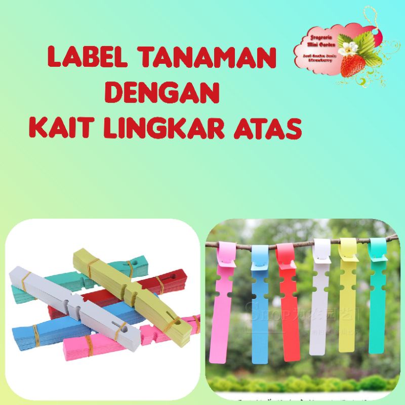 Jual label penanda tanaman / label tanaman gantung dengan kait lingkar ...