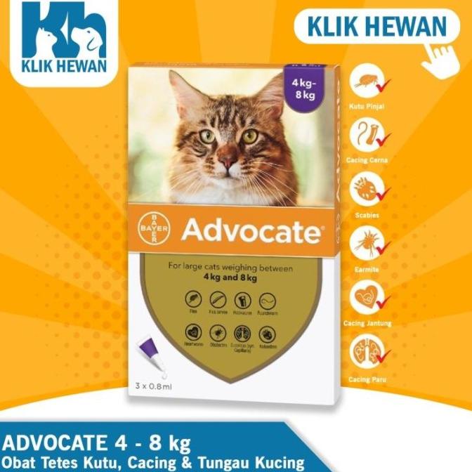 Jual Obat Tetes Kutu Cacing Tungau Flea Scabies Kucing Advocate 4 8 KG ...