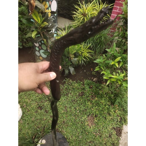 Jual TONGKAT JALAN KAYU STIGI LAUT HITAM UKIR Model 082 | Shopee Indonesia