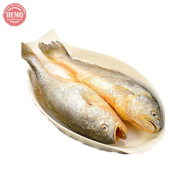 Jual Ikan Samge Segar Ikan Samge Ikan Laut Basah Segar 1Kg | Shopee ...