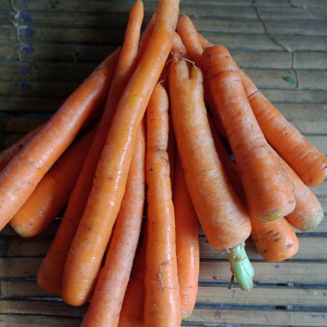 Jual Wortel lokal 1 kg | Shopee Indonesia