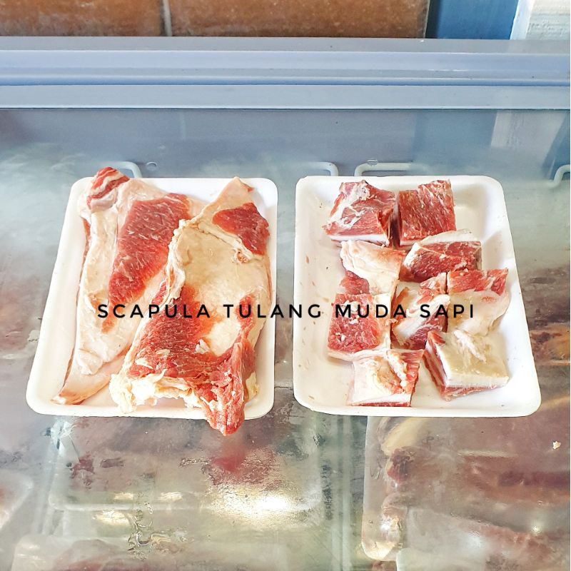 Jual TULANG MUDA SAPI / TANGKAR / SCAPULA 500GR | Shopee Indonesia