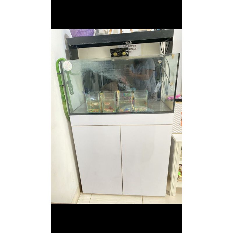 Jual AQUARIUM DAN LEMARI 80X40 KONDISI SECOND SANGAT LAYAK PAKAI ...