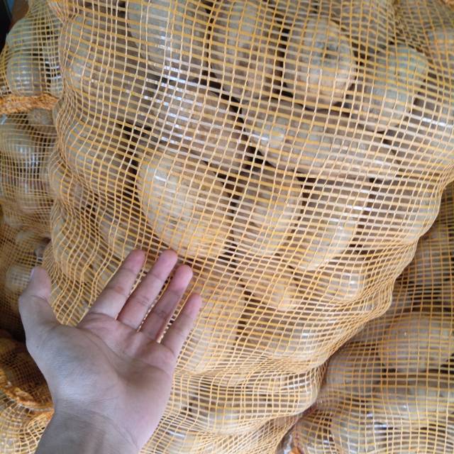 Jual KENTANG KUNING DIENG /500 GR | Shopee Indonesia