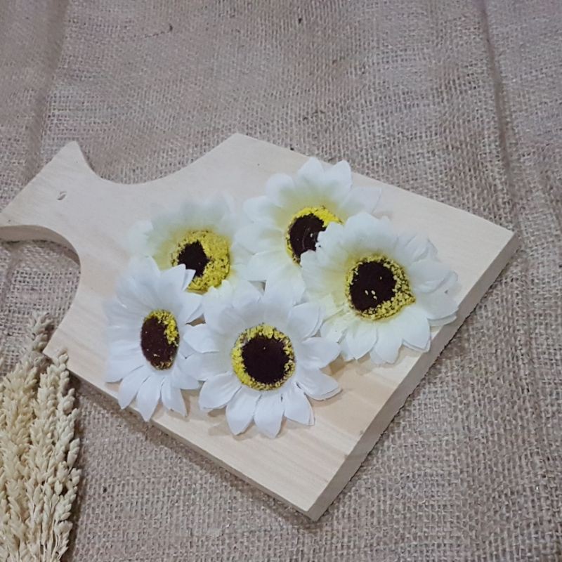 Jual BUNGA DAISY MATAHARI BESAR | Shopee Indonesia