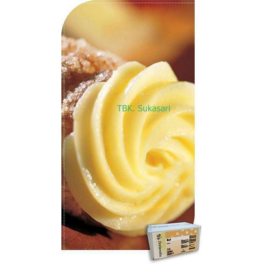 Jual RAP custard powder Zeelandia 500gr instant custard powder bubuk ...