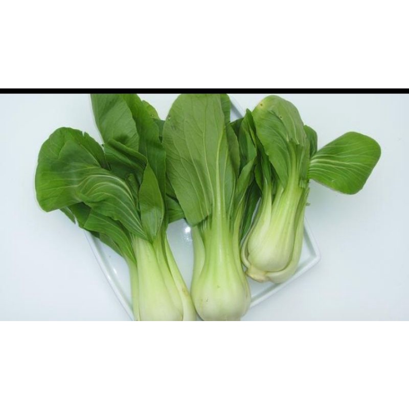 Jual Sayur Pakcoy/Sayur Botol | Shopee Indonesia
