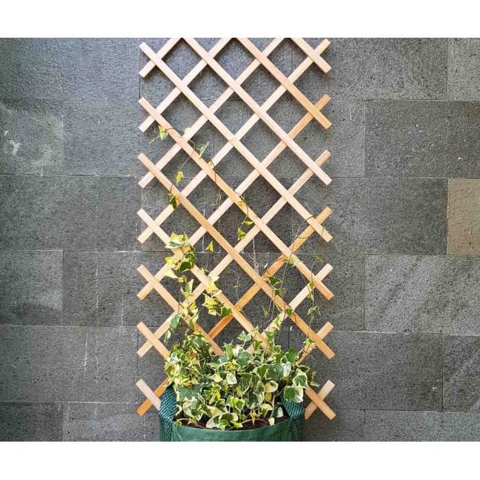 Jual Pagar Taman / Pagar Rambat / Teralis Kayu | Shopee Indonesia