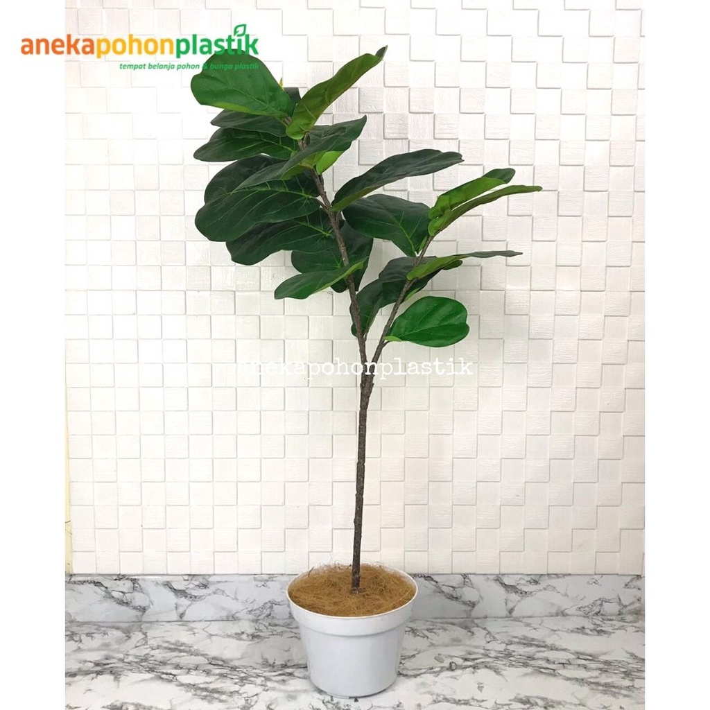 Jual Pohon Hias Daun Ketapang X2 T120 Latex Artificial Pot Dasar Putih ...