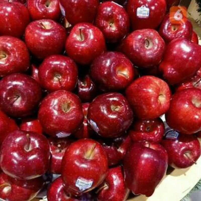 Jual APEL MERAH SUPER MANIS PER 1 KG | Shopee Indonesia