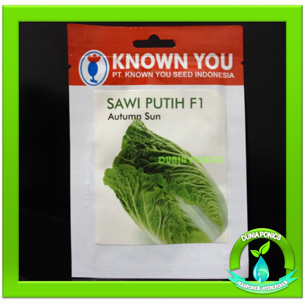 Jual Benih Bibit SAWI PUTIH F1 AUTUMN SUN Known You Seed 240 Butir ...