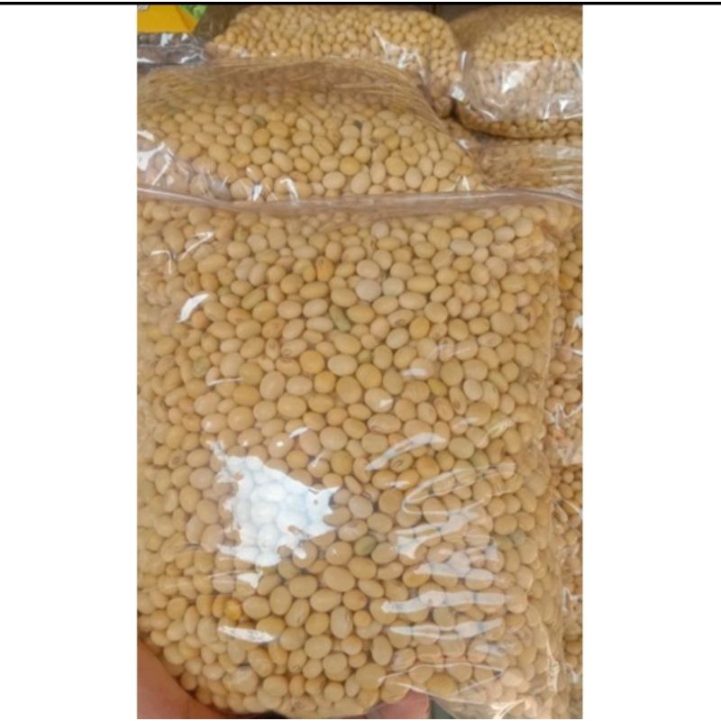 Jual BENIH BIBIT KEDELAI SUPER SIAP TANAM KEMASAN 2KG | Shopee Indonesia