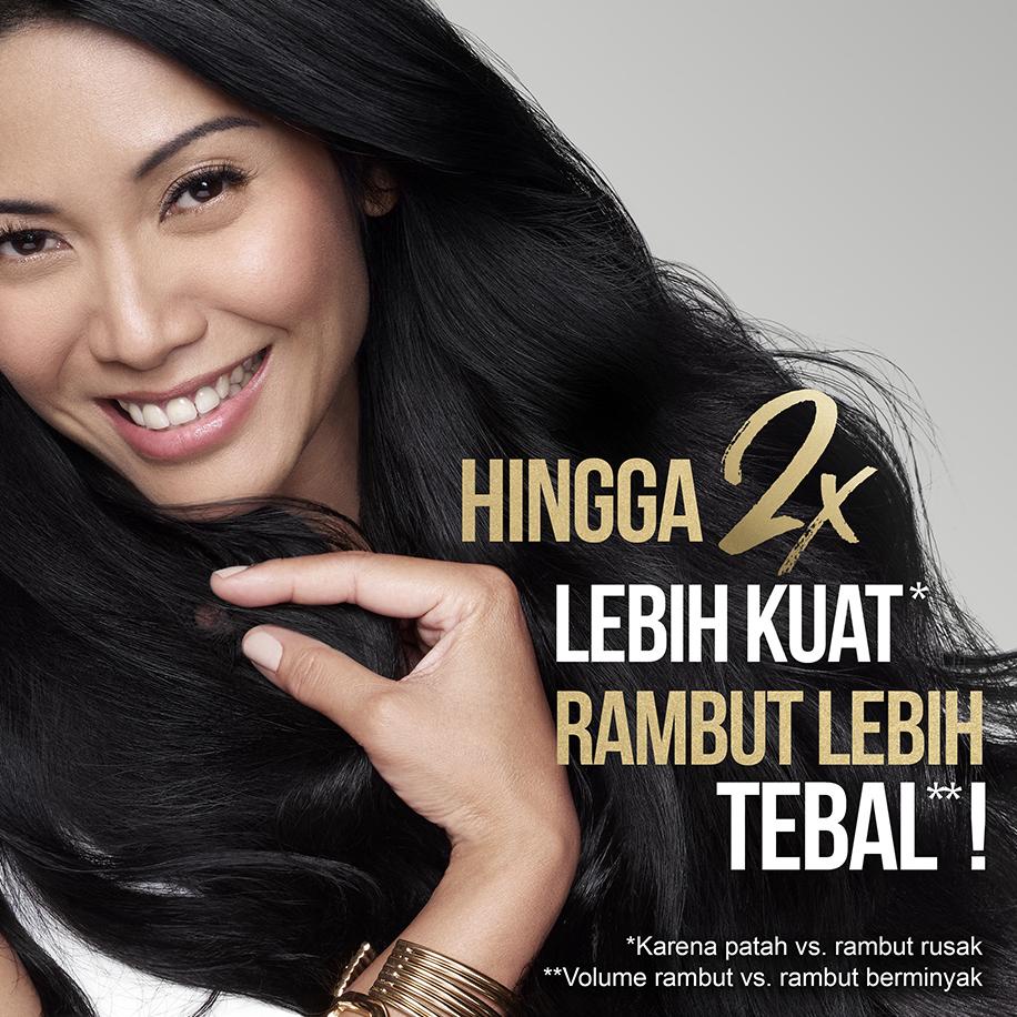 Jual Harga Promo 8TNMM Pantene Shampoo Anti Dandruff 400 ml / Perawatan ...