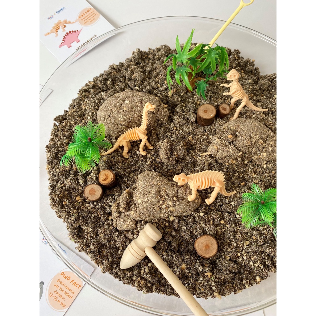 Jual Dino Dig Adventure Foodgrade | Mainan Fossil Dinosaur Edukasi ...