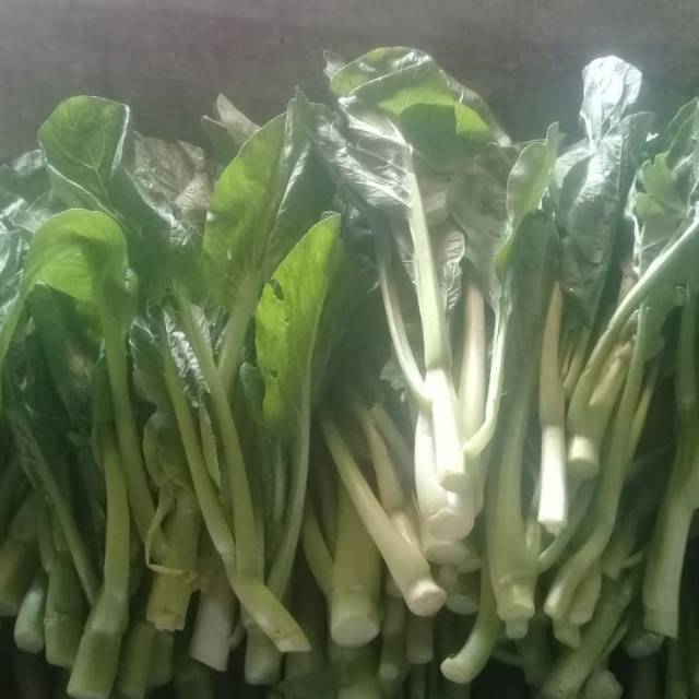 Jual CAISIM MANIS (ORGANIK) | Shopee Indonesia