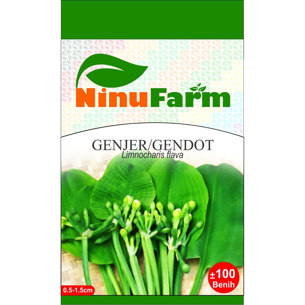 Jual Benih Genjer/Gendot 100Seeds | Shopee Indonesia