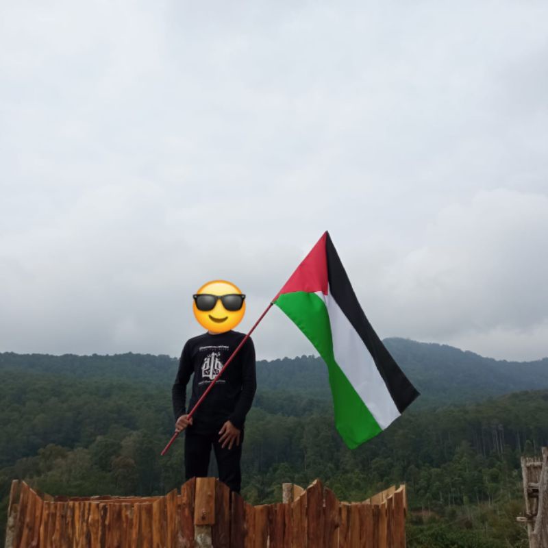 Jual Bendera Palestina - Palestine Flag /60x90/110×70/120x80cm/We Stand ...