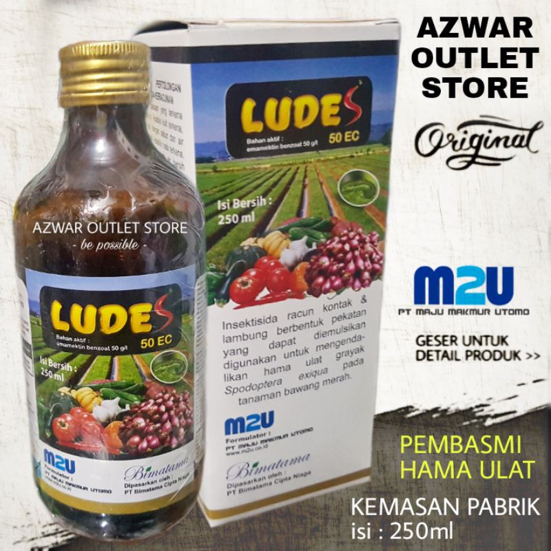 Jual Racun ulat dari telur hingga ulat dewasa insektisida LUDEs 50EC ...