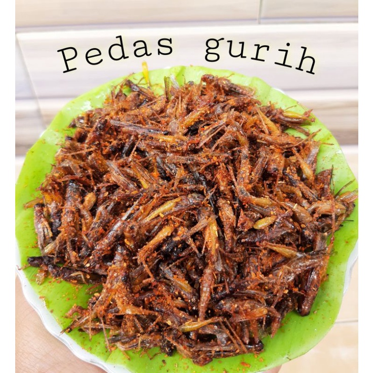 Jual cemilan belalang/simeut goreng kecil oleh2 tradisional majalengka ...