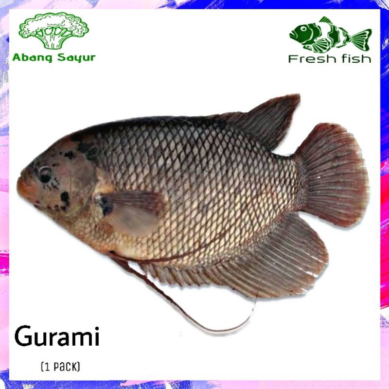 Jual Ikan Gurame Segar 500gr | Shopee Indonesia