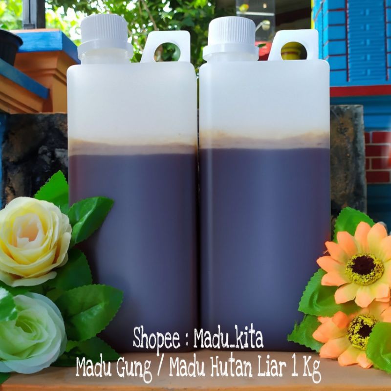 Jual Madu Hutan Liar 1 Kg / Hutan Liar Sumatra / Hutan Liar Klanceng ...