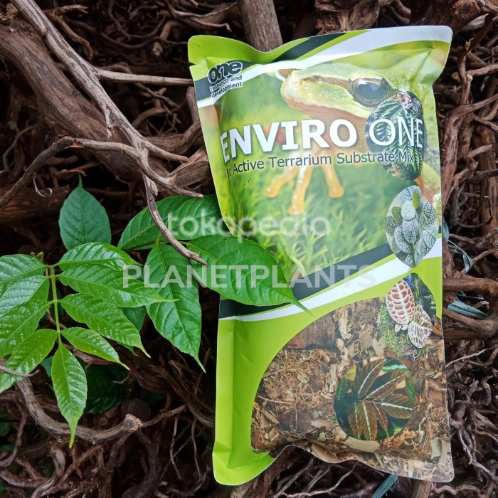 Jual ENVIRO ONE BIO ACTIVE TERRARIUM SUBSTRATE MEDIA TANAM PALUDARIUM ...