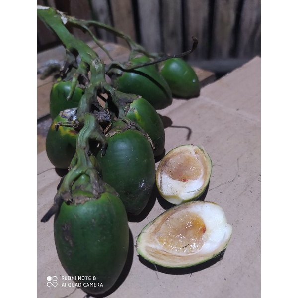 Jual Pinang asli muda 1kg | Shopee Indonesia