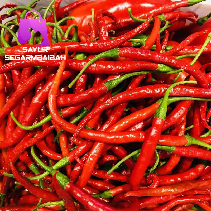 Jual cabai merah keriting segar/sayursegar | Shopee Indonesia