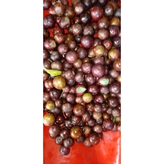 Jual Buah Rukem Terlengkap & Harga Terbaru Juli 2024 | Shopee Indonesia