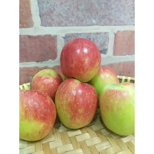 Jual Apel Anna khas Batu 500gr | Shopee Indonesia