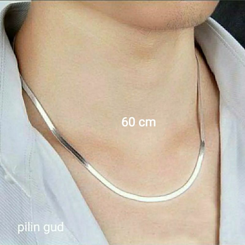 Jual kalung titanium anti karat pipih gepeng emas pria wanita import ...
