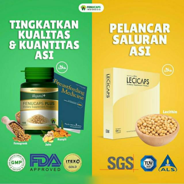 Jual Paket Dosis Harian Asi Booster FENUCAPS + LECICAPS (Ecer) | Shopee ...