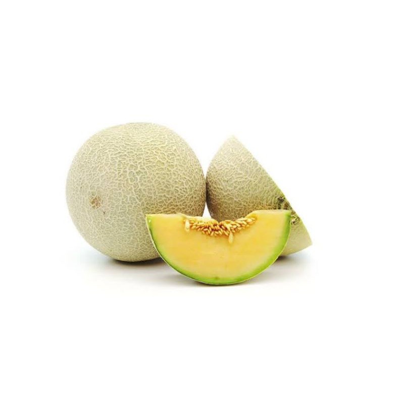 Jual Melon Sky Rocker | Shopee Indonesia