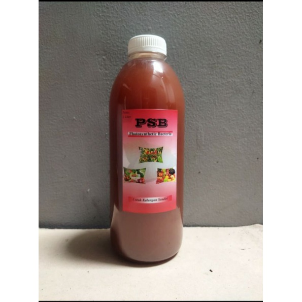 Jual Pupuk Cair Organic Bakteri Fotosintesis PSB ( 1 Liter ) | Shopee ...
