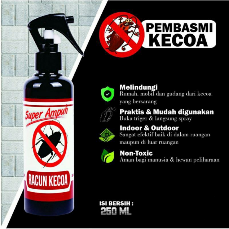 Jual SPRAY CAIRAN RACUN PENGUSIR KECOA DIRUMAH SEMPROTAN ANTI KECOA ...
