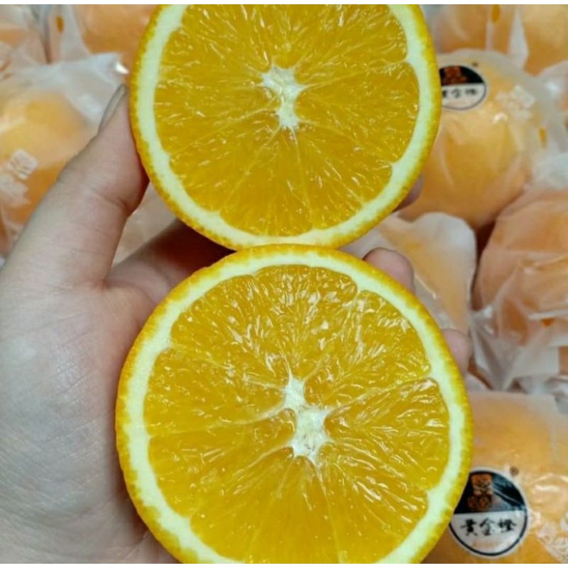 Jual jeruk sunkist navel madu | 1 kg | Shopee Indonesia