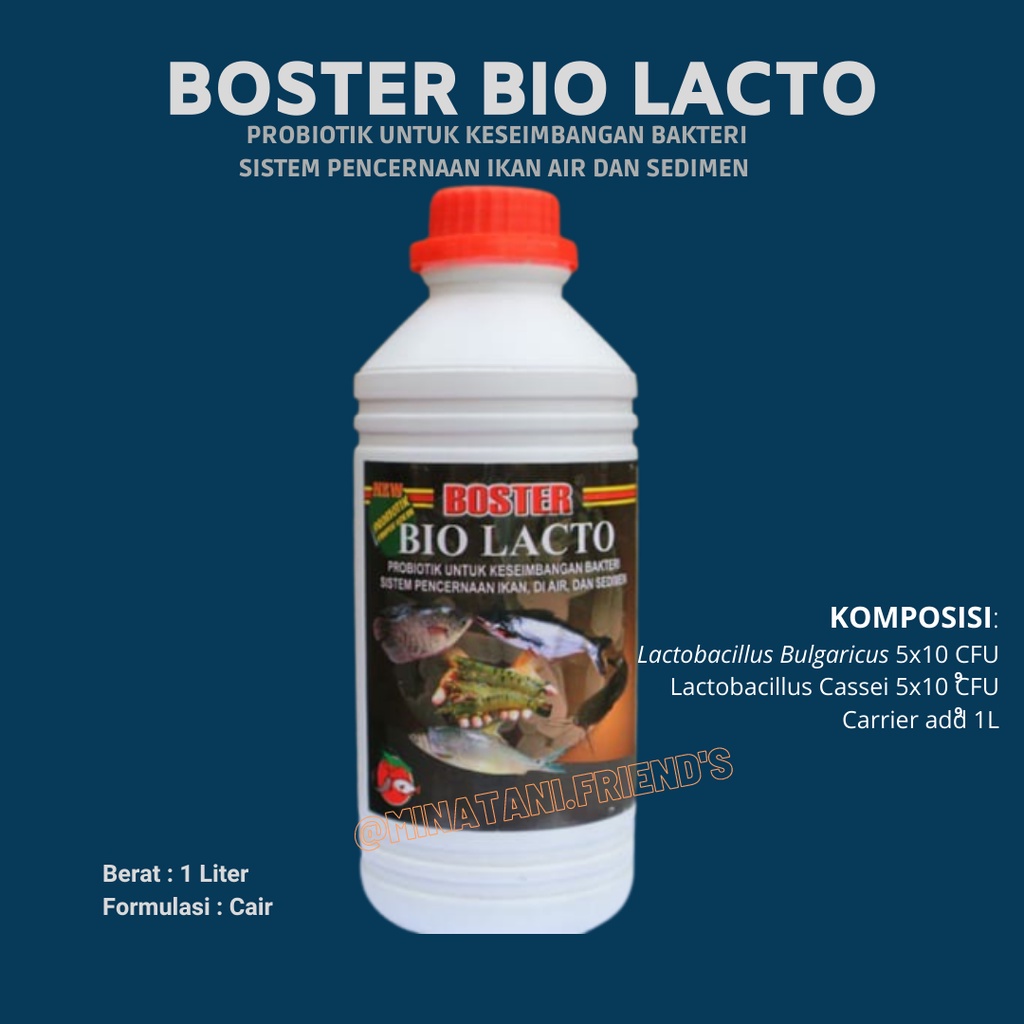 Jual Biolacto Probiotik Lactobacillus BOSTER | Shopee Indonesia