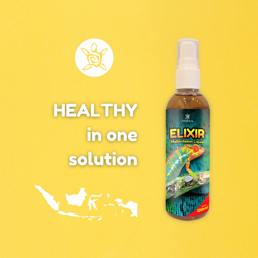 Jual Elixir 100ml Reptile Liquid Multivitamin Multivitamin Cair Reptil ...