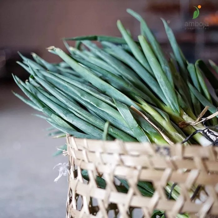 Jual Daun Bawang Loncang pack 100gr | Shopee Indonesia