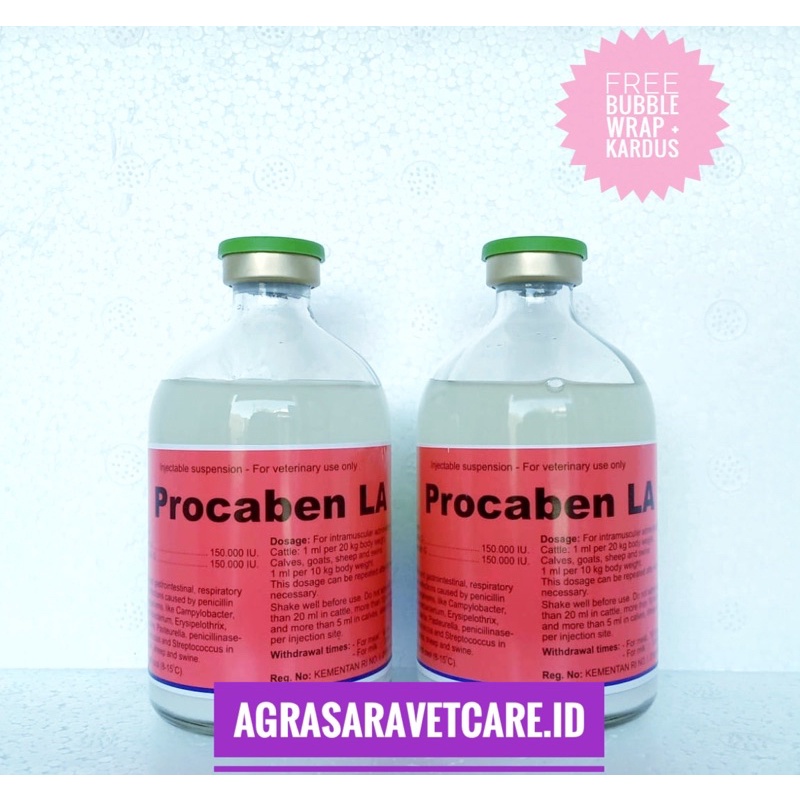 Jual PROCABEN LA 100 ml pengganti PENSTREP 400- antibiotik Pernafasan ...
