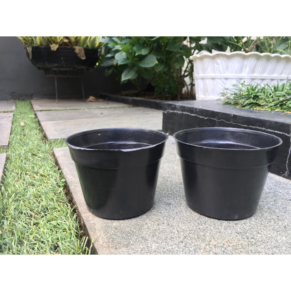 Jual Pot Bunga Murah/ Pot Tanaman / Pot Plastik hitam uk 10 cm | Shopee ...