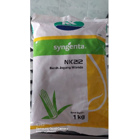 Jual benih jagung nk 212 benih jagung 1kg wirosableng nk 212 nk wiro ...