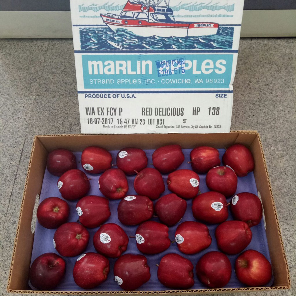 Jual APEL MERAH- RED DELICIOUS USA 19KG ISI 125-138PCS | Shopee Indonesia