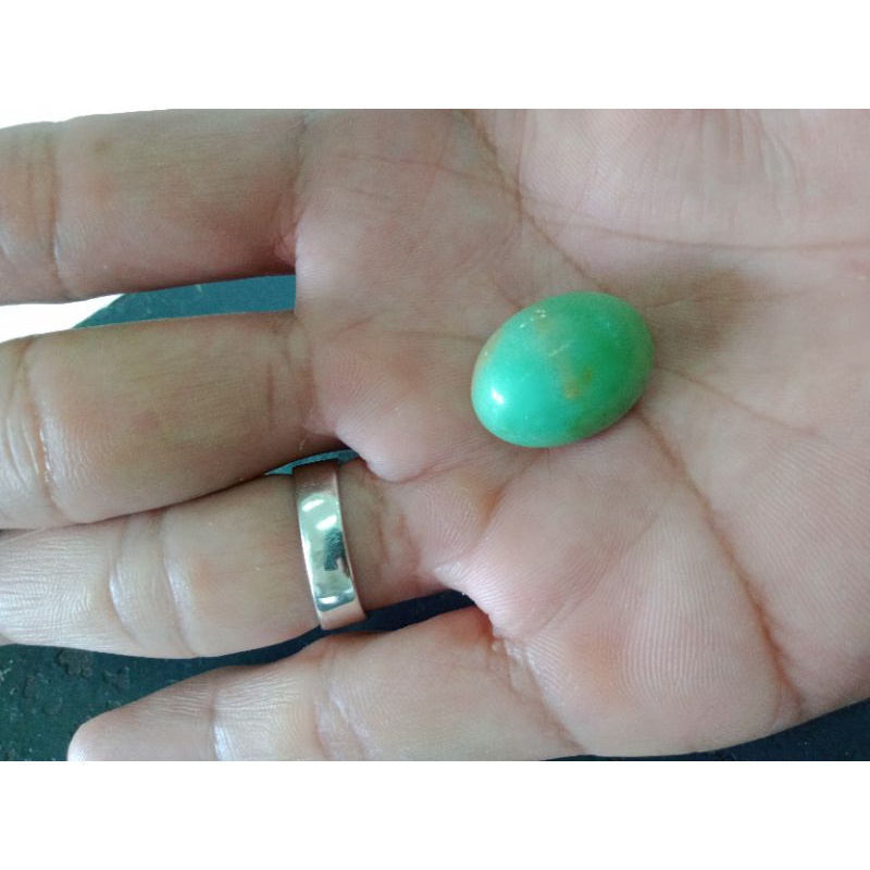 Jual bacan papua | Shopee Indonesia