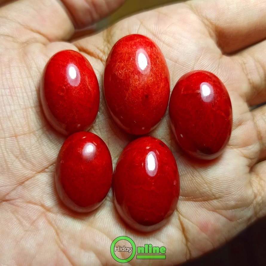 Jual NATURAL MARJAN RED CORAL ASLI | Shopee Indonesia