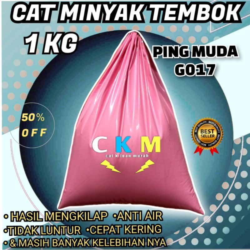 Jual Cat minyak tembok 1 kg / Cat tembok 1 kg gratis ongkir / Cat ...