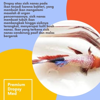 Jual PREMIUM DROPSY MED obat sisik nanas dropsy ekor rontok mata berkabut ikan | Shopee Indonesia