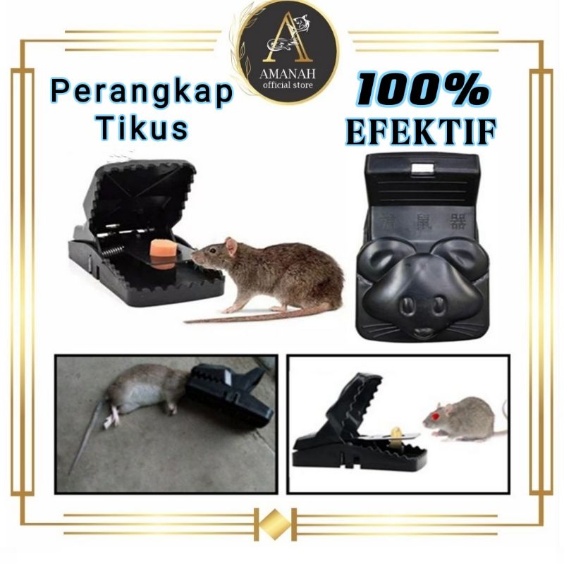 Jual PERANGKAP TIKUS AMPUH / MOUSE TRAP JONI / Alat Jepit Perangkap ...